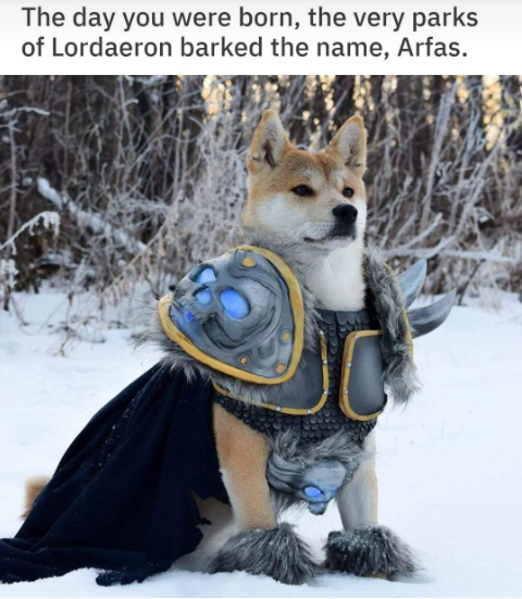 Memes - Operation: Grand Utopia 44